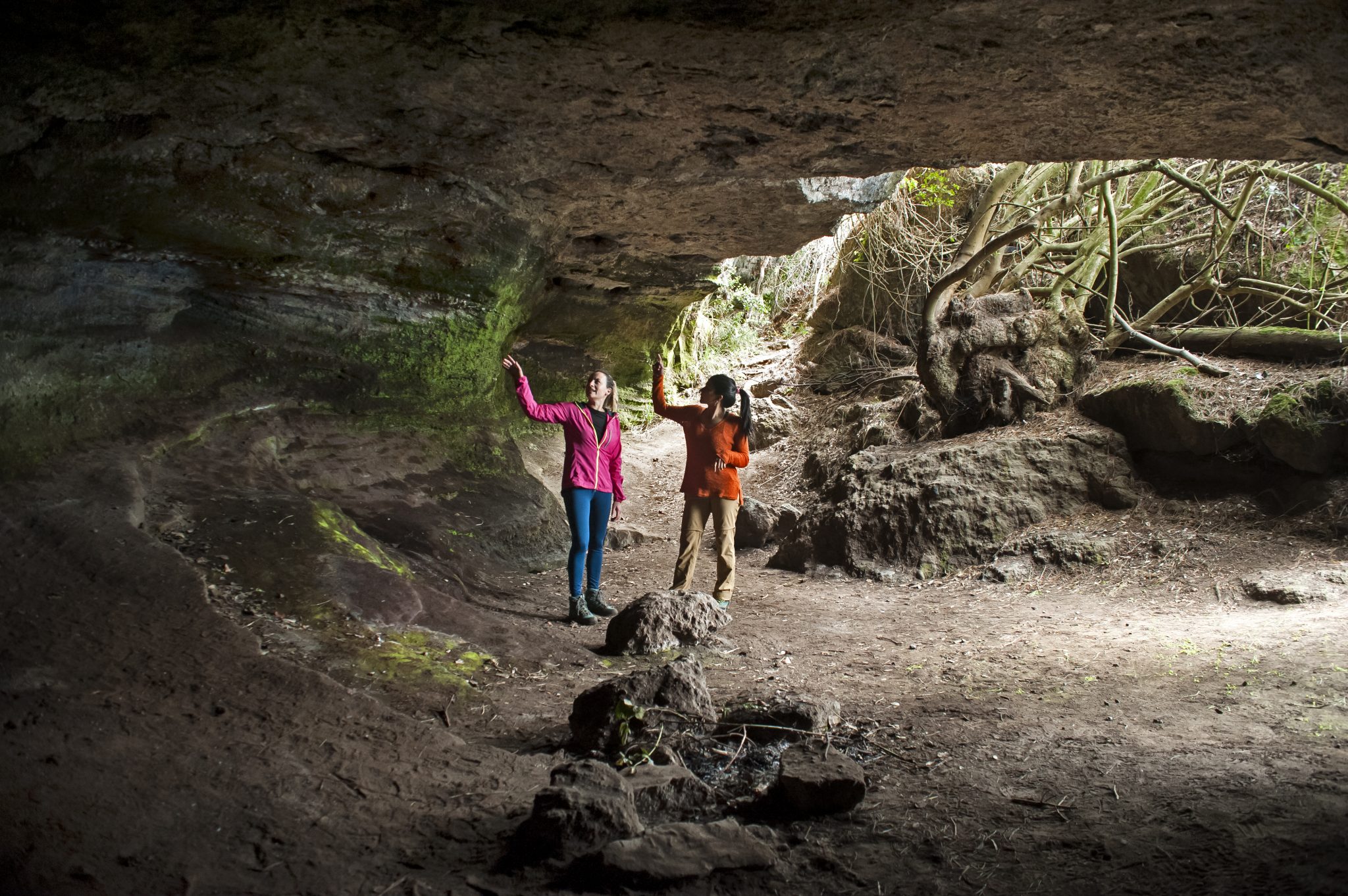 Isla Huapi – Ven a Futrono