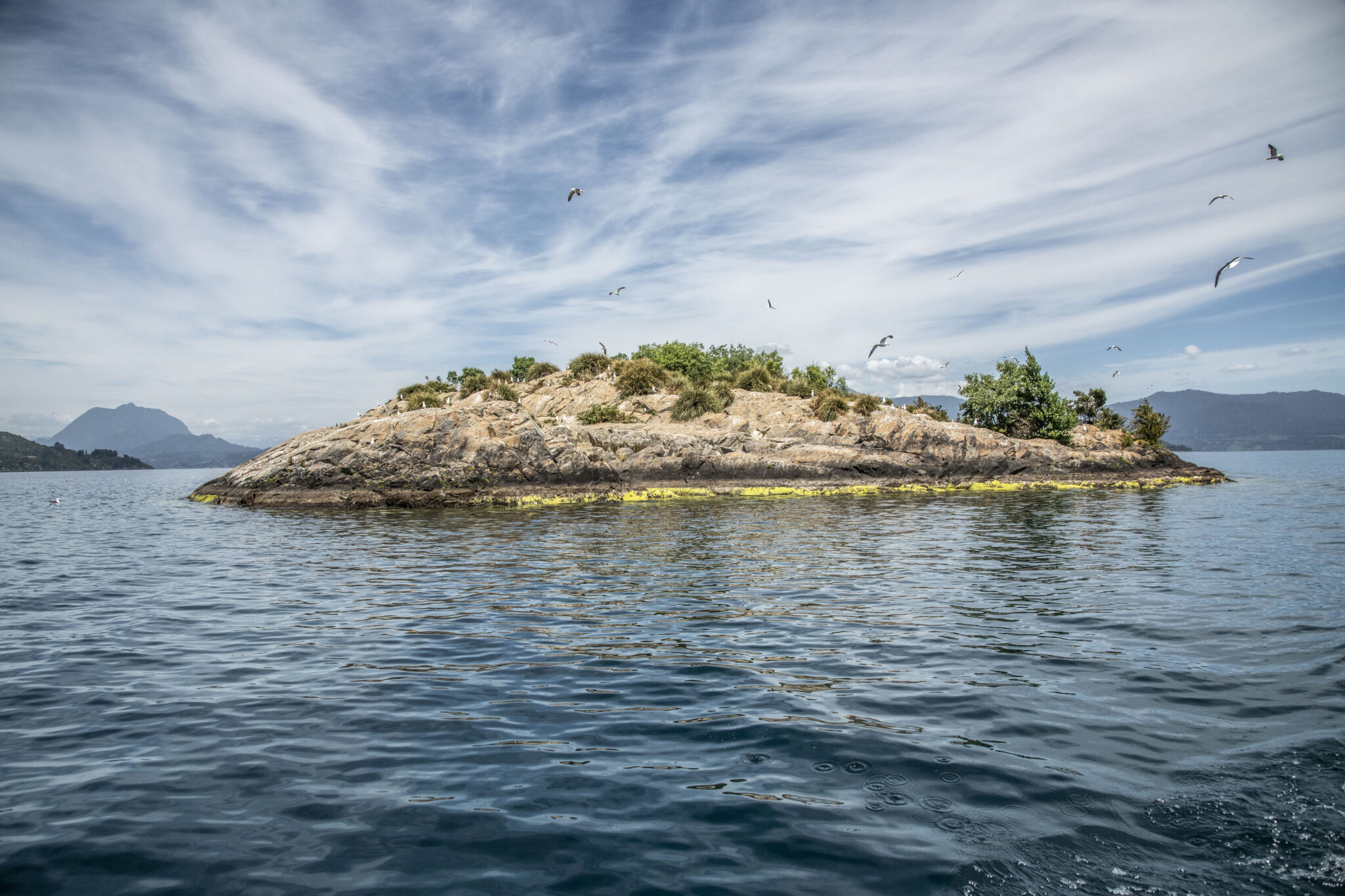 Isla Huapi - Ven a Futrono